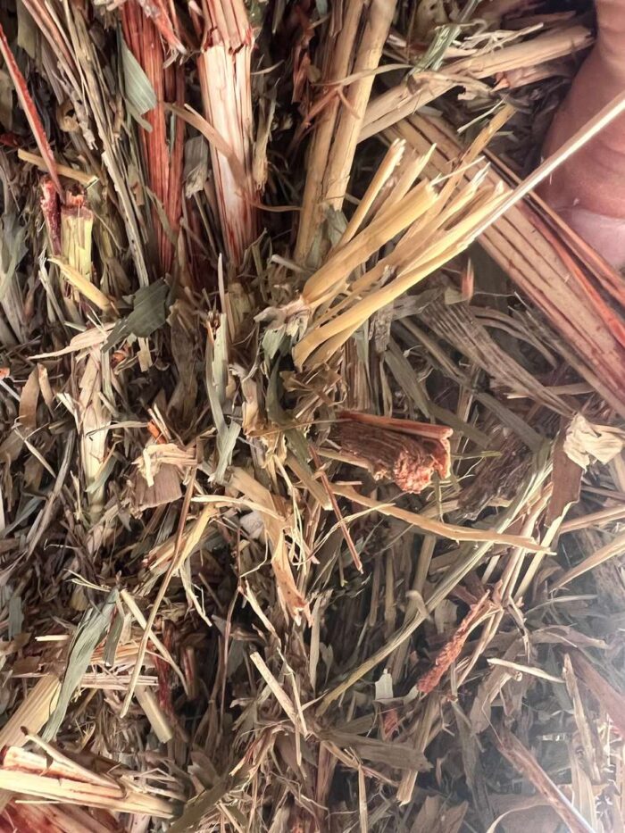 Batch 11307 Pasture Hay – Fodder Link Website