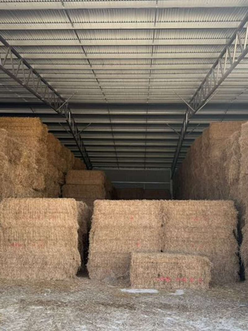 Batch 11952 Protein Hay – Fodder Link Website