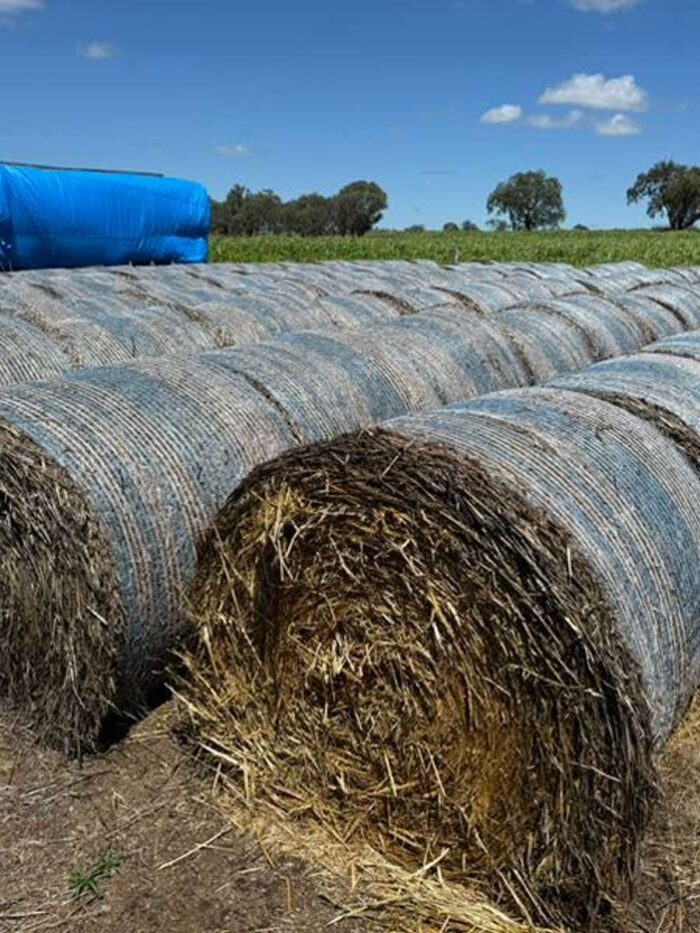 Batch 77624 Cereal Hay – Fodder Link Website