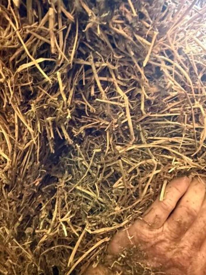 Batch 11952 Protein Hay – Fodder Link Website