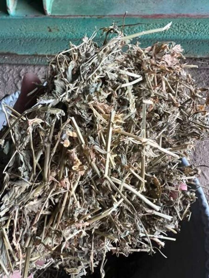 Batch 8722 Protein Hay – Fodder Link Website