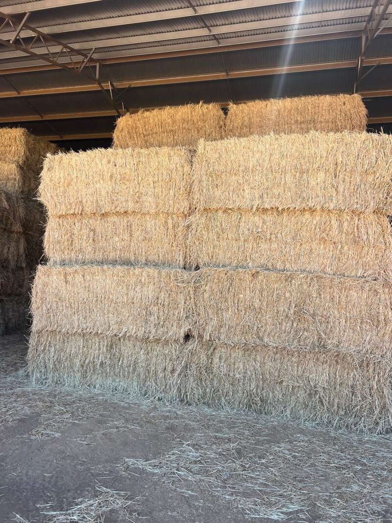 Batch 81157 Cereal Hay – Fodder Link Website