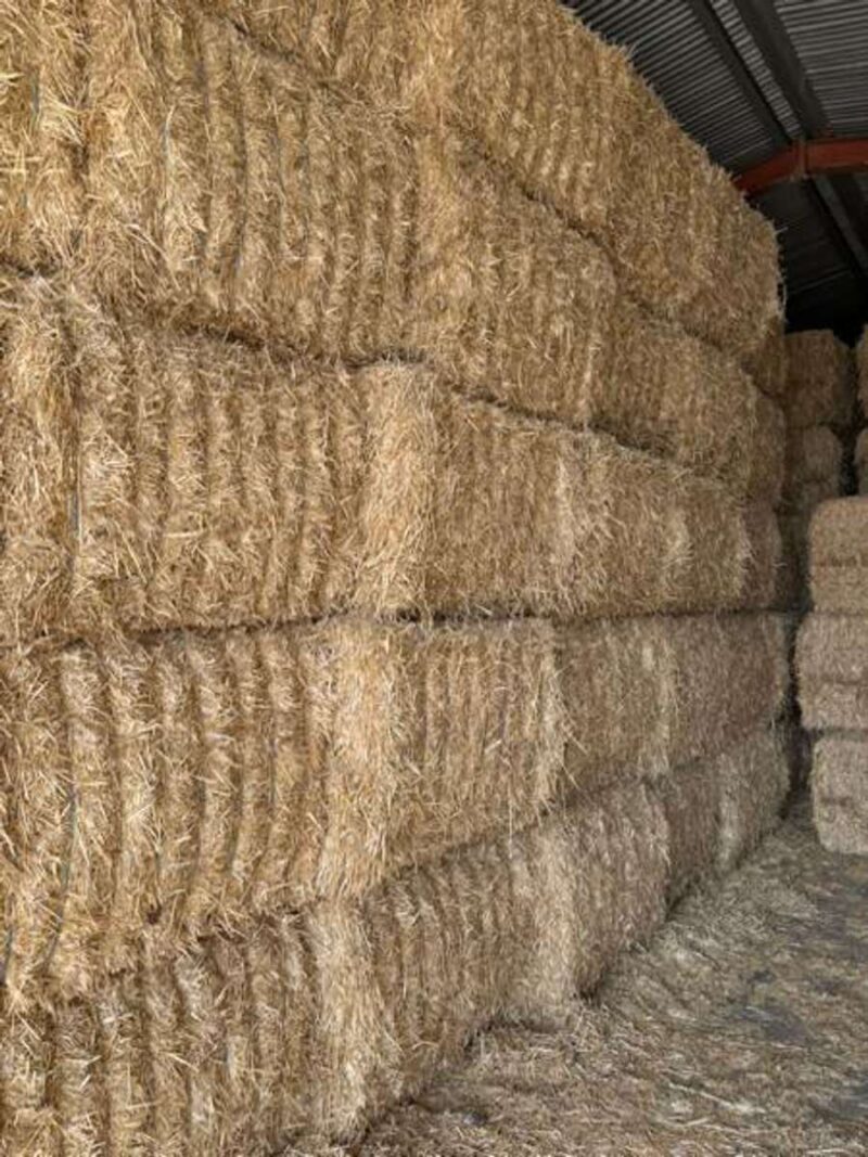 Batch 41306 Cereal Straw – Fodder Link Website