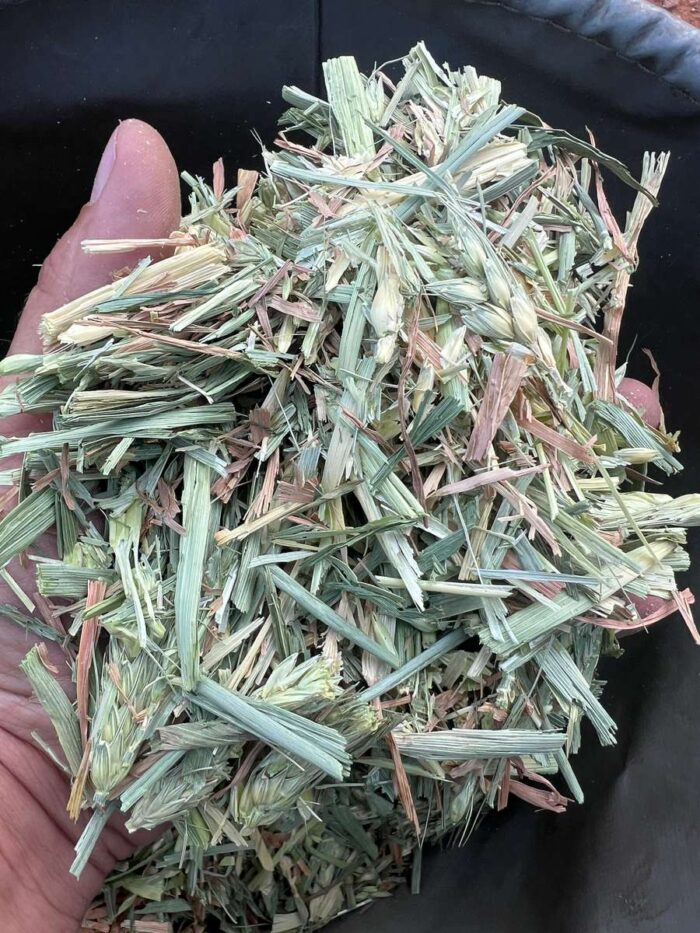 Batch 81241 Cereal Hay – Fodder Link Website