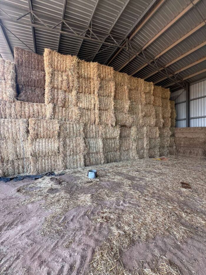 Batch 81245 Cereal Hay – Fodder Link Website