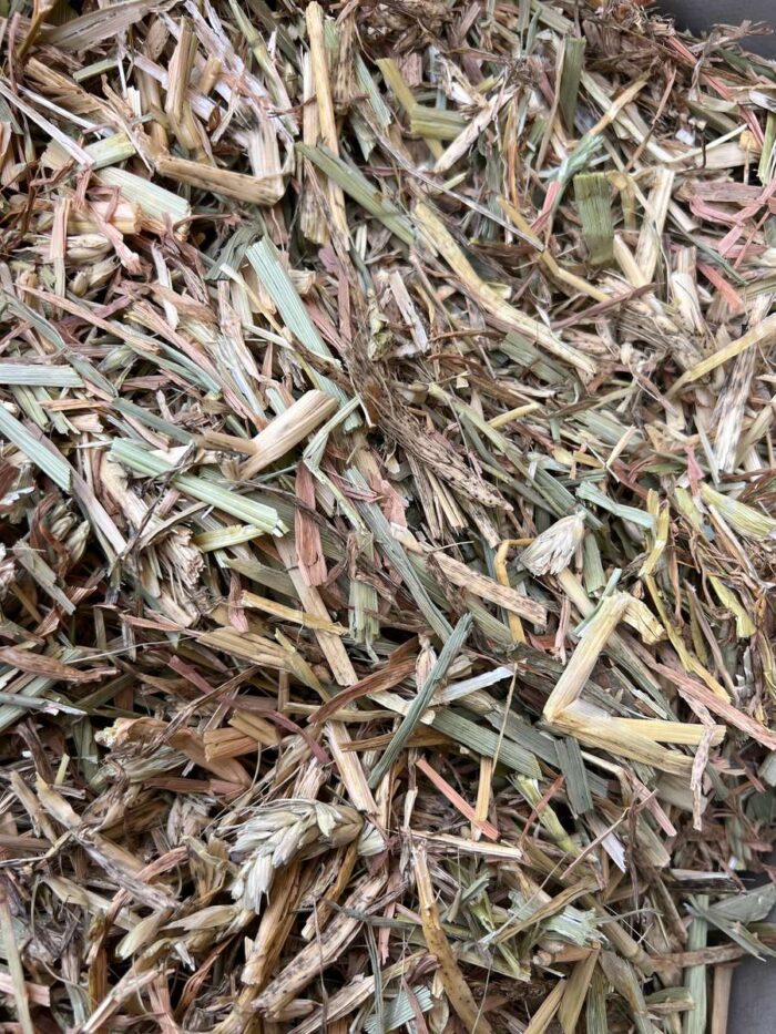 Batch 81237 Cereal Hay – Fodder Link Website