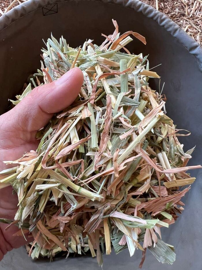 Batch 81245 Cereal Hay – Fodder Link Website