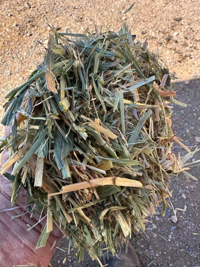 Batch 81228 Cereal Hay – Fodder Link Website