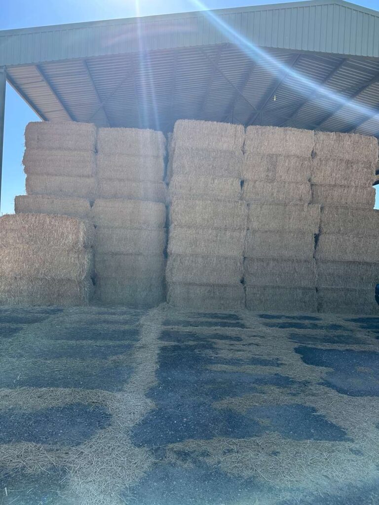 Batch 81435 Protein Hay – Fodder Link Website