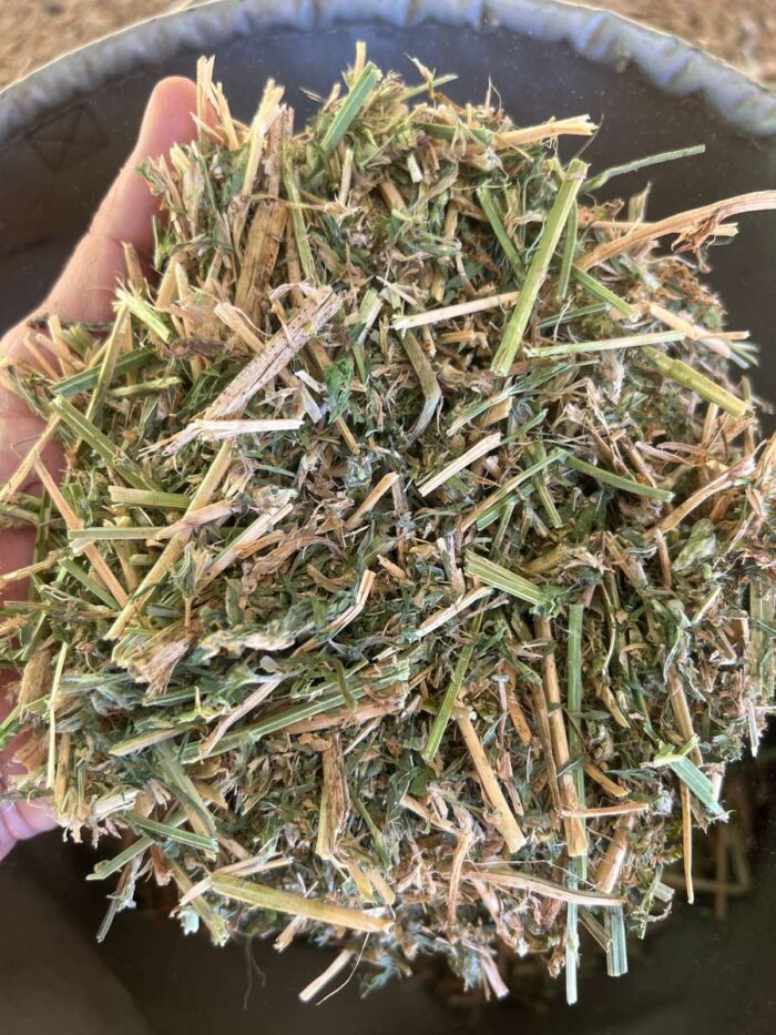 Batch 81354 Protein Hay – Fodder Link Website