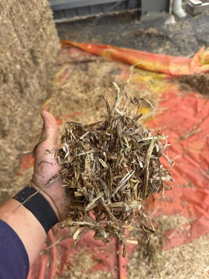 Batch 81320 Protein Hay – Fodder Link Website
